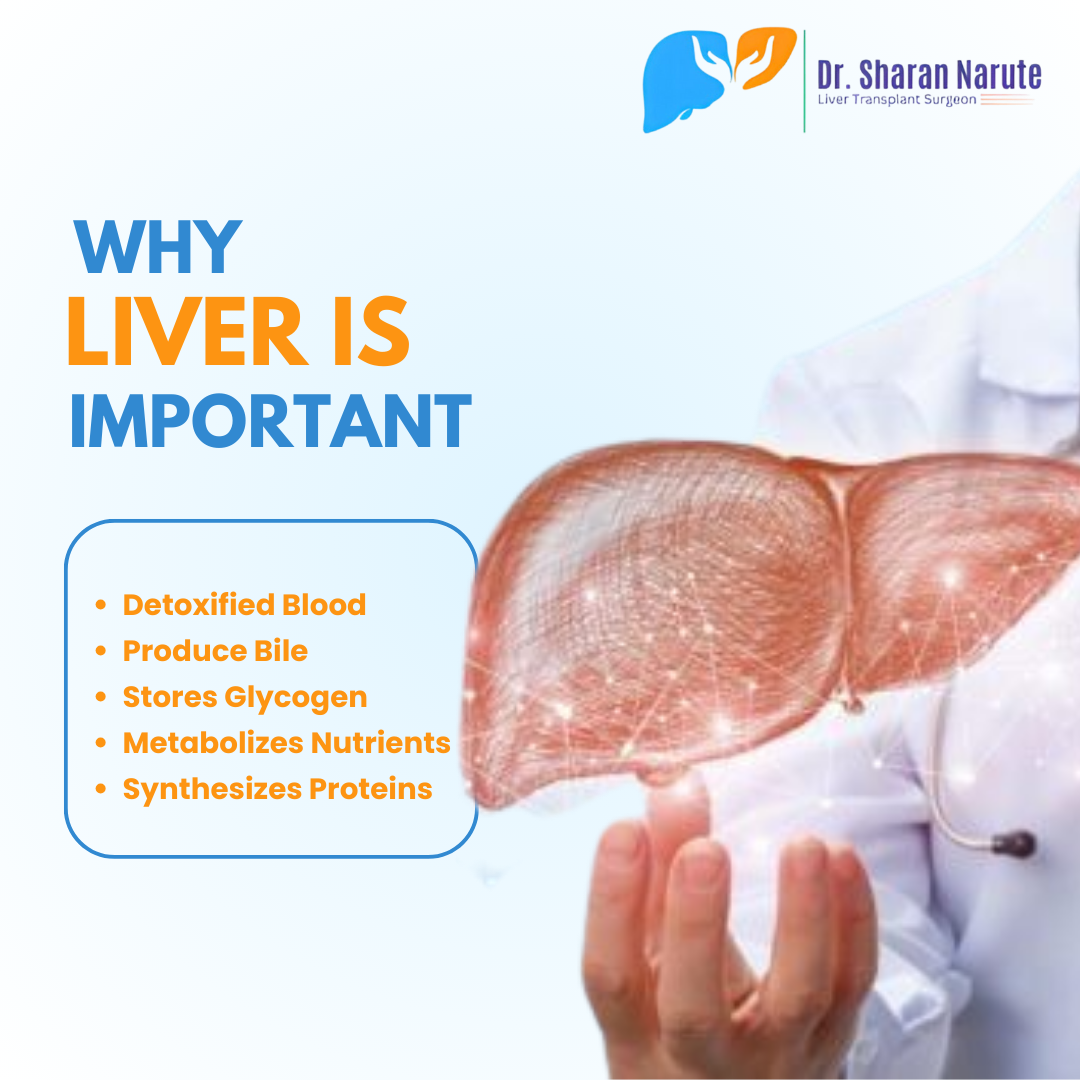 Why the Liver is Important: Functions, Health, and Care - Dr. Sharan Narute